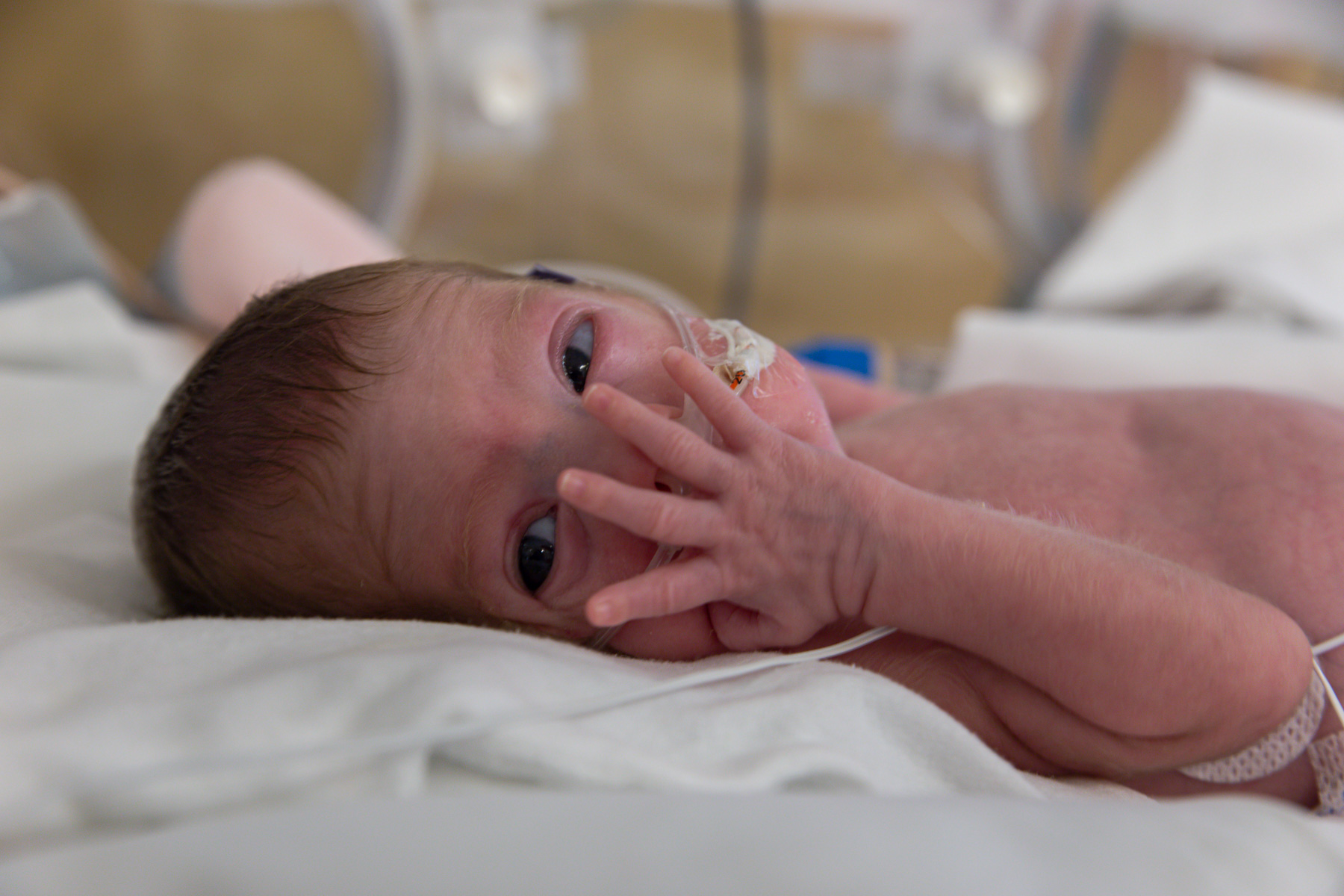 Sales Page Funnel - The Preemie Paradox